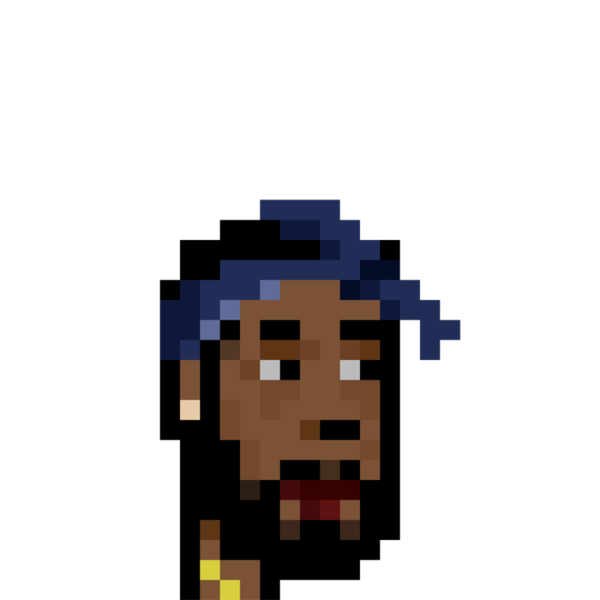 Pixel Head Collection - Hip Hop Coins